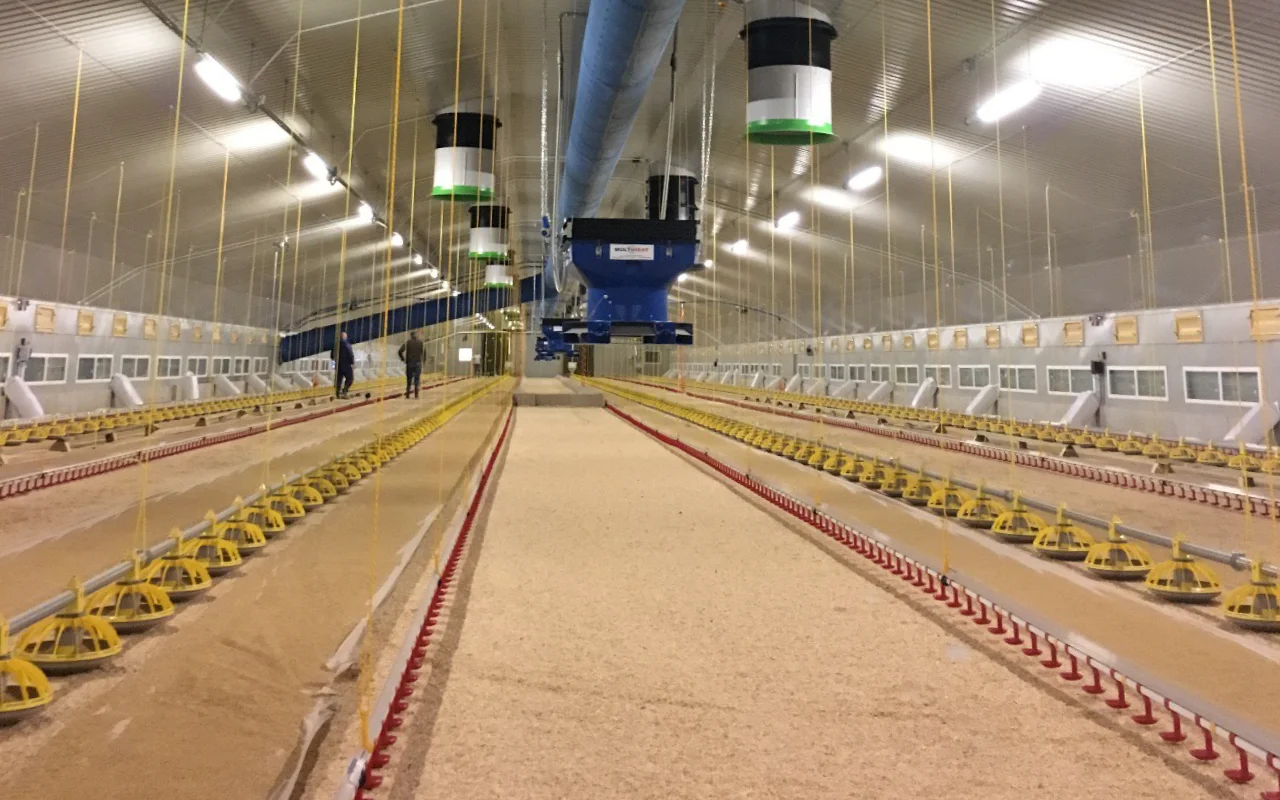 IEC Poultry top of the league - IEC Solutions
